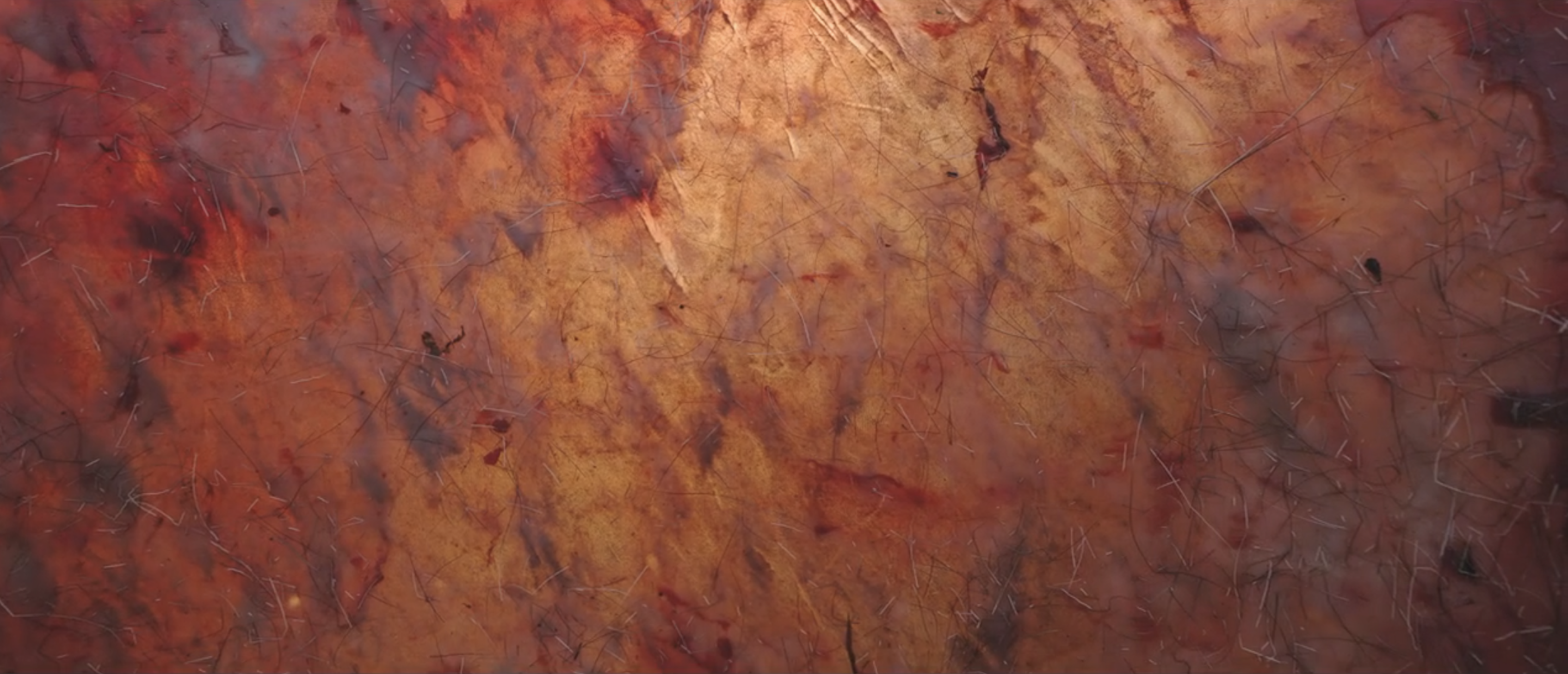 Hide Process — Mooseskin Boat